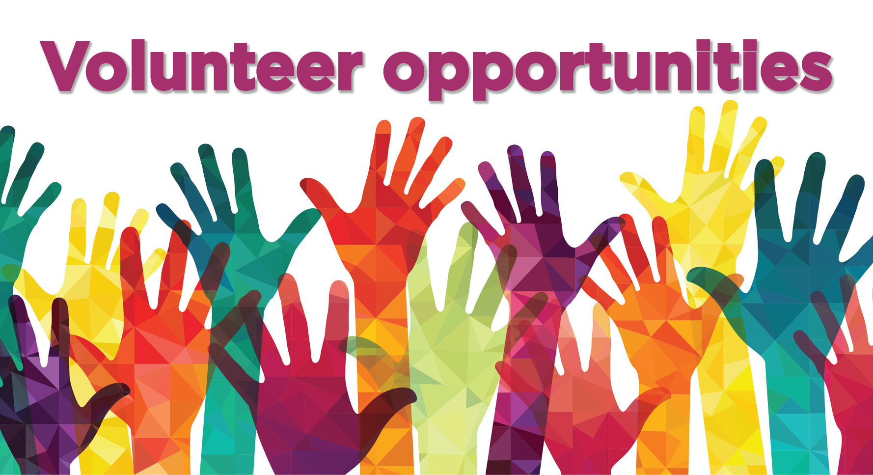 Community Volunteer Opportunities